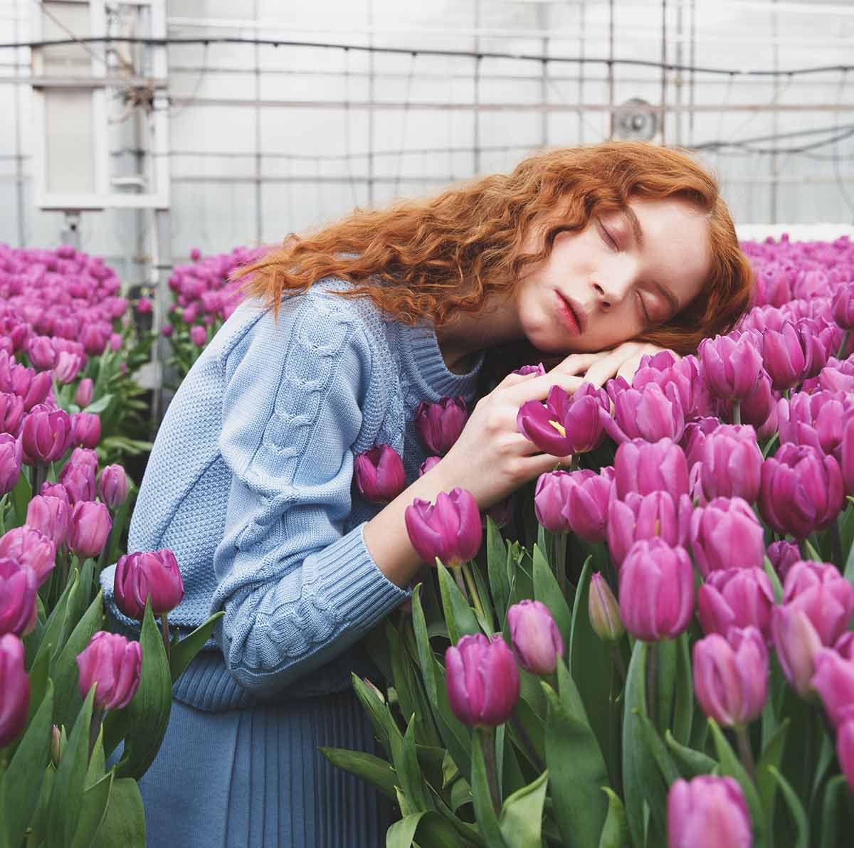 Primrose - The Fragrances .de